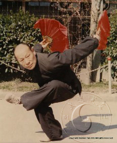 New Zealand Wu Tao Society - History of Tai Chi